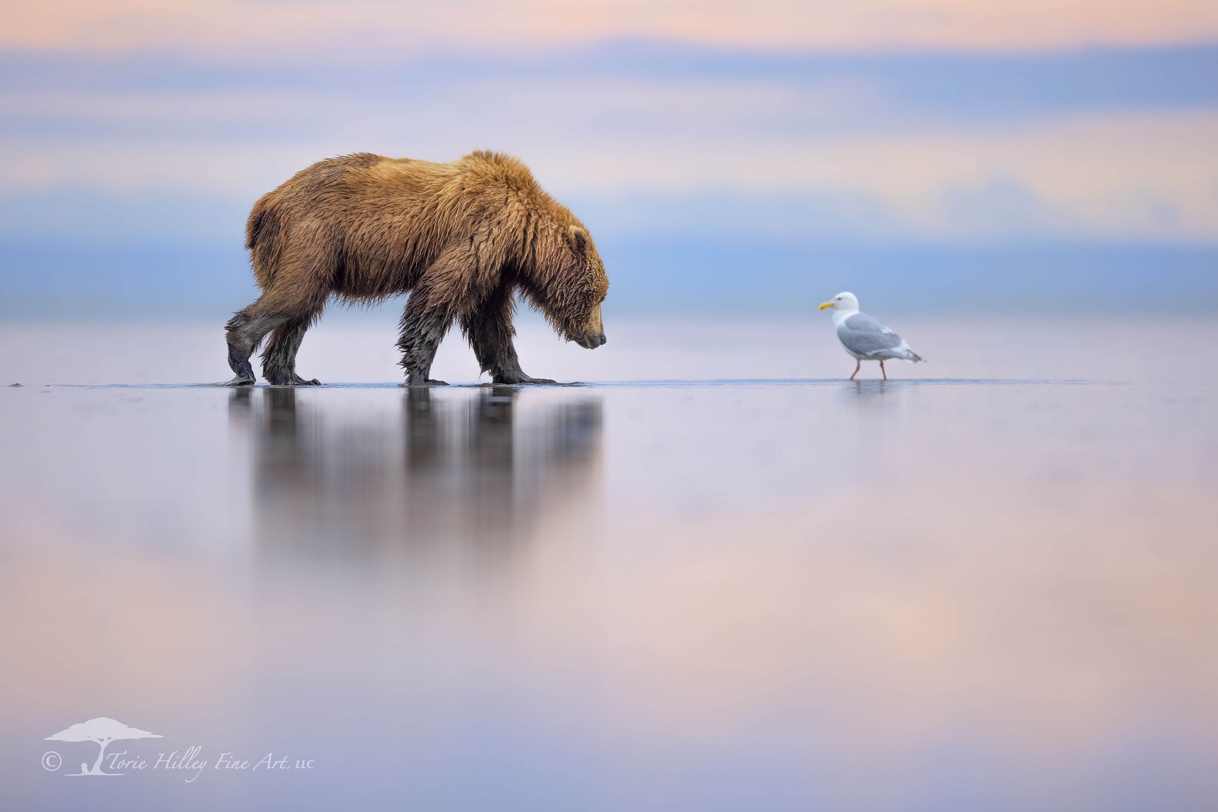 Bird and Bear - Limited Edition Fine Art Print – Torie Hilley Fine Art