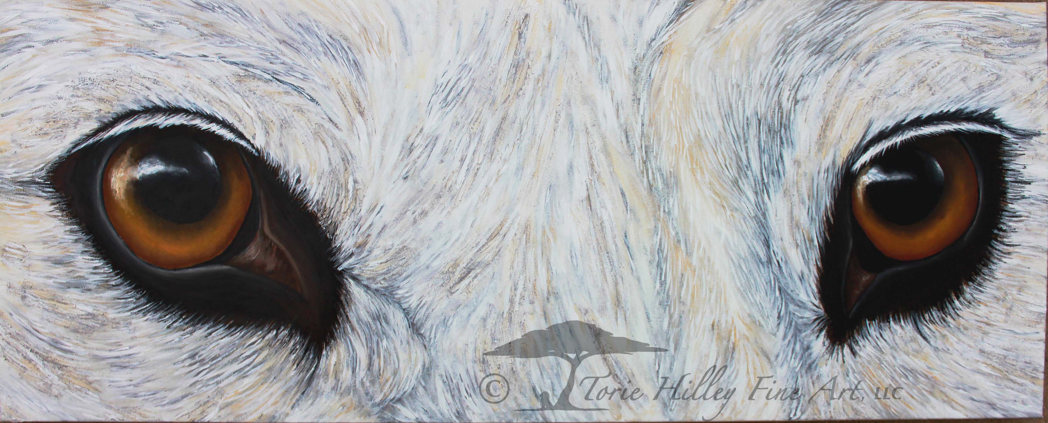 Wolf Eyes - Limited Edition Reproduction Prints – Torie Hilley Fine Art